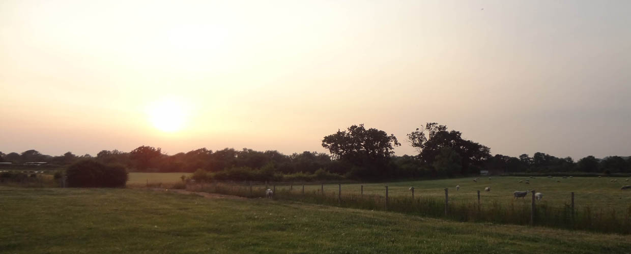Home - Community Owned Land and Property Trust